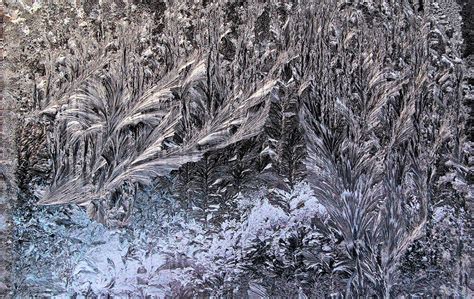 Samuel Taylor Coleridge